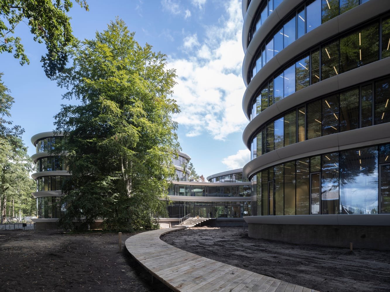 Triodos Bank HQ - Arquitectura con Madera