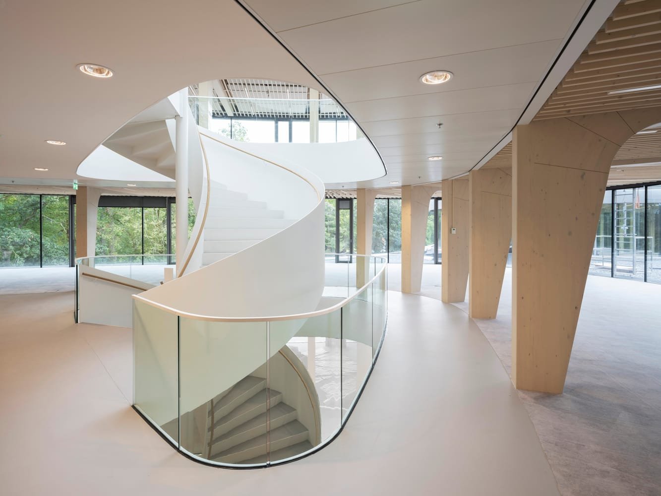 Triodos Bank HQ - Arquitectura con Madera